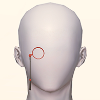 Monocle | Eorzea Collection